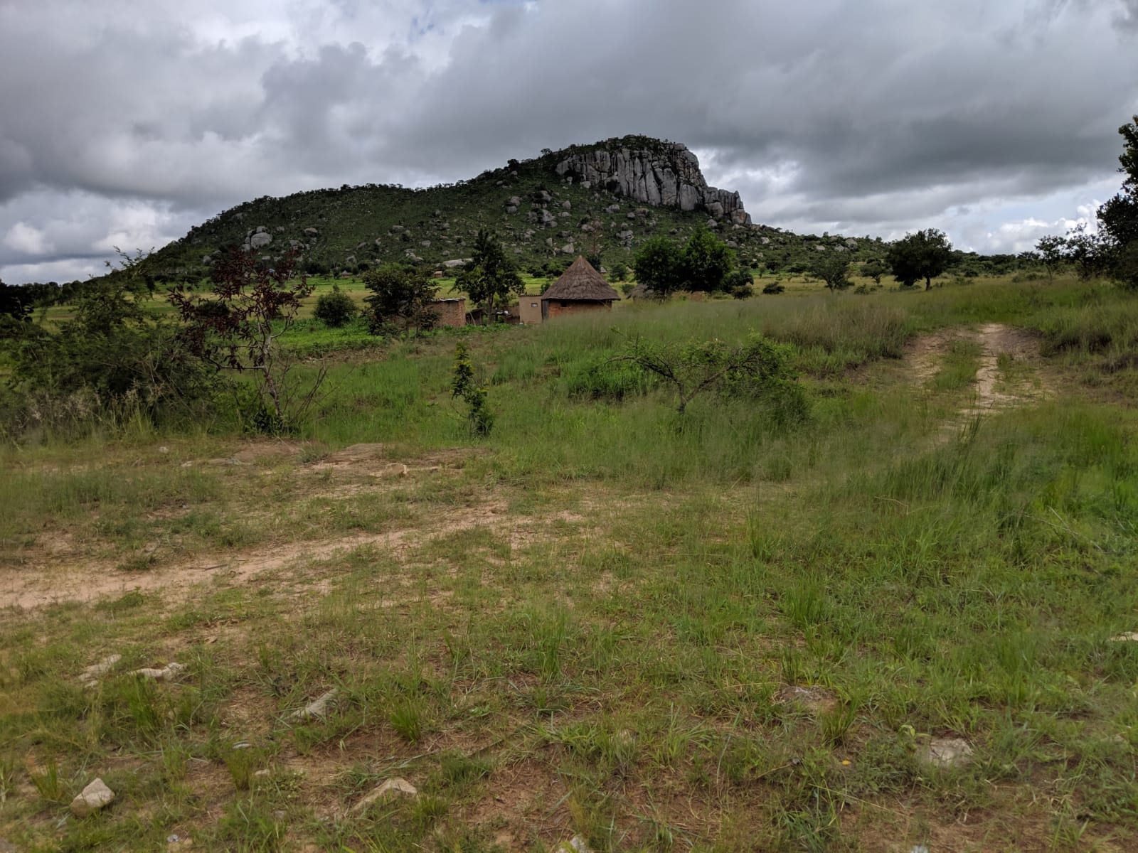 Tashanda Foundation – A Not-for-profit organisation providing relief to ...