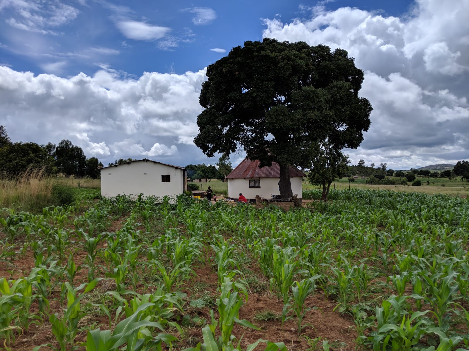 Photos – Tashanda Foundation